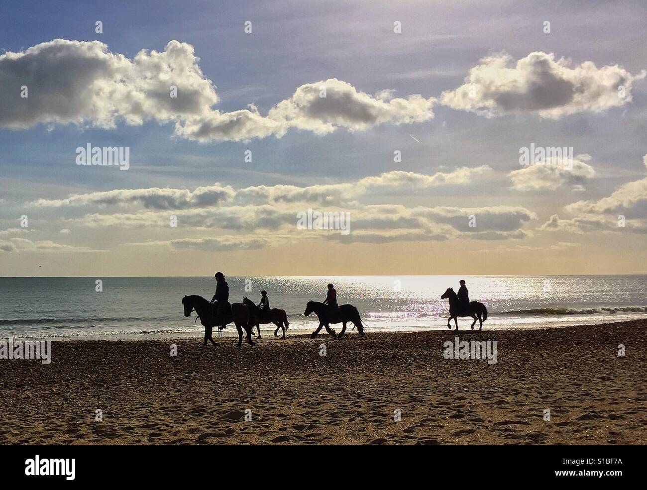 Pferde am strand -Fotos und -Bildmaterial in hoher Auflösung – Alamy