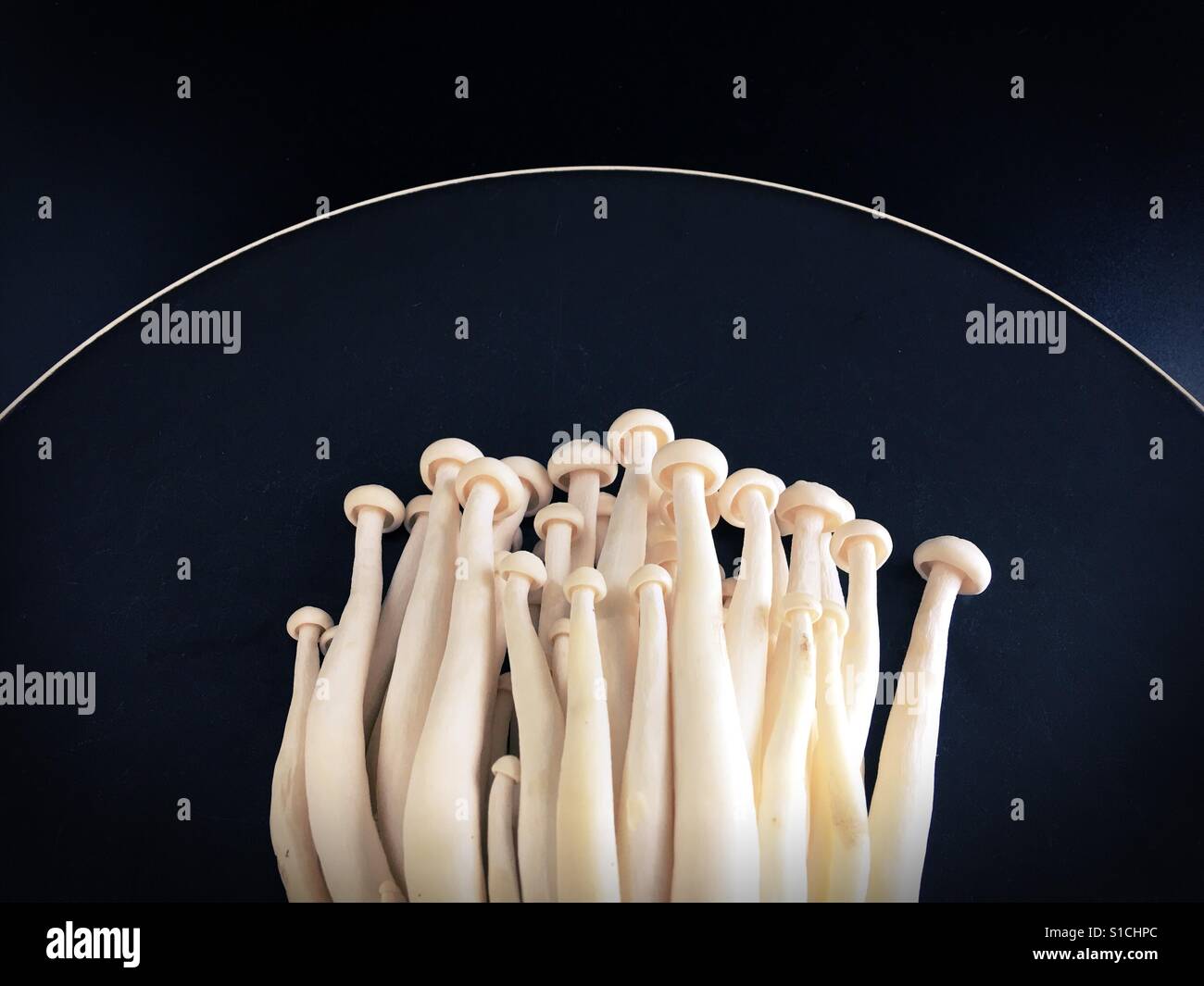 Goldene enoki pilze -Fotos und -Bildmaterial in hoher Auflösung – Alamy