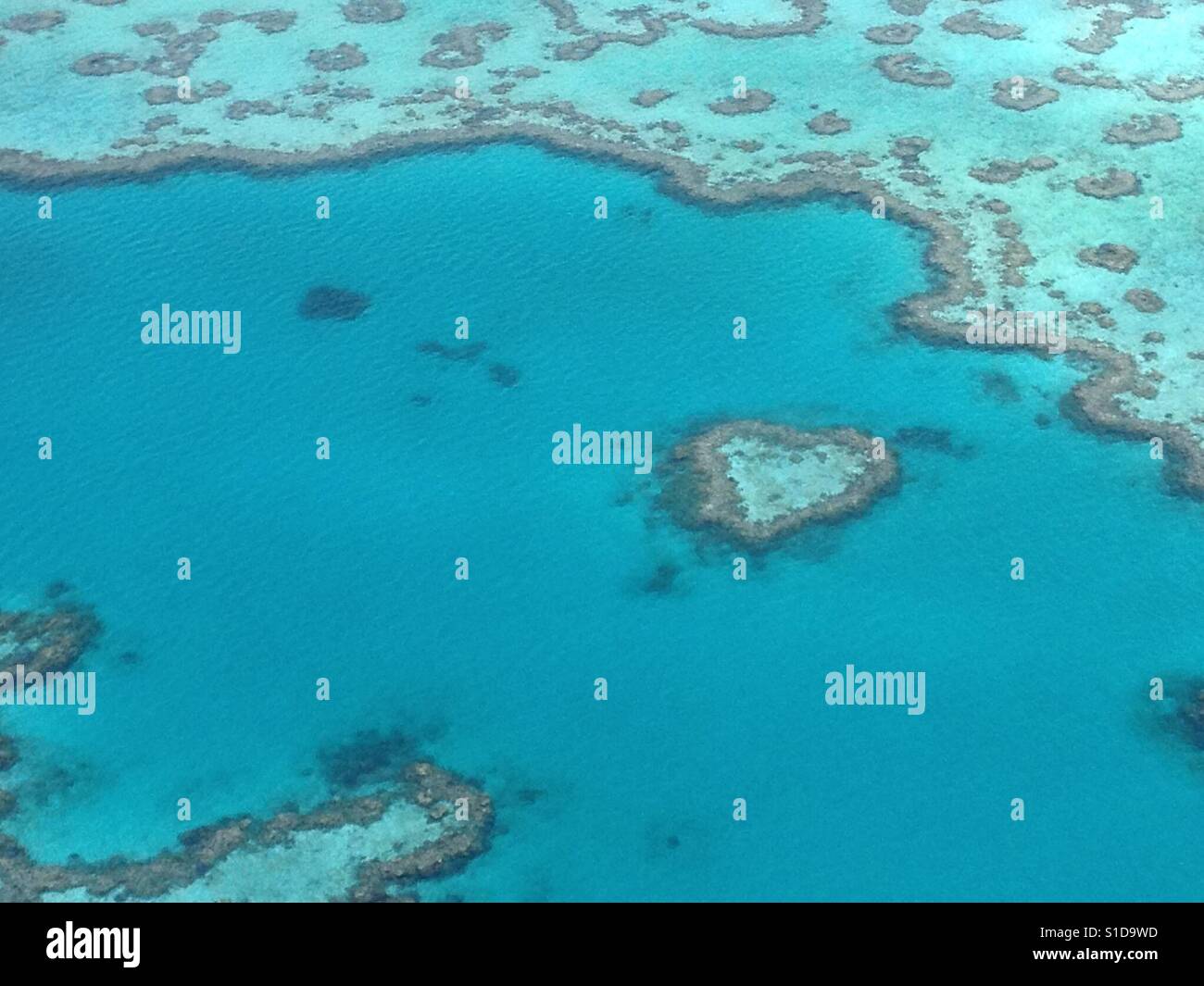 Wir lieben das riff -Fotos und -Bildmaterial in hoher Auflösung – Alamy