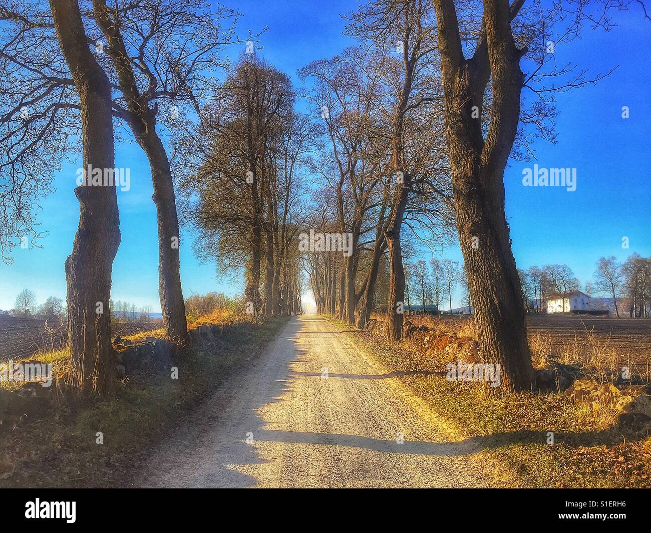 Hamar norwegen -Fotos und -Bildmaterial in hoher Auflösung – Alamy