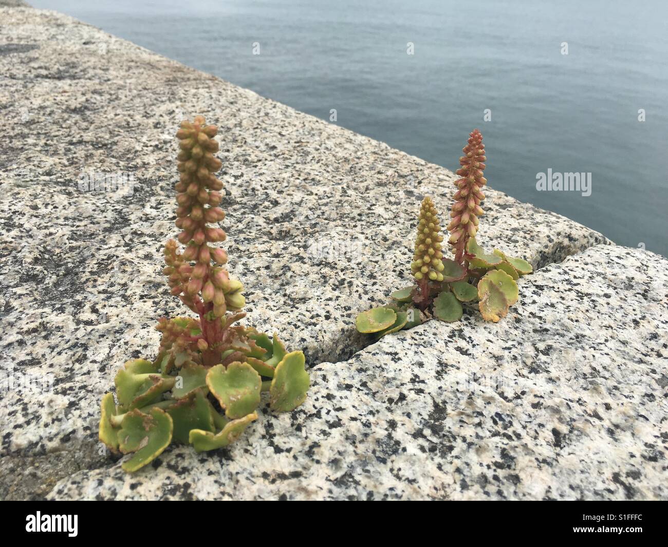 Weg wird -Fotos und -Bildmaterial in hoher Auflösung – Alamy