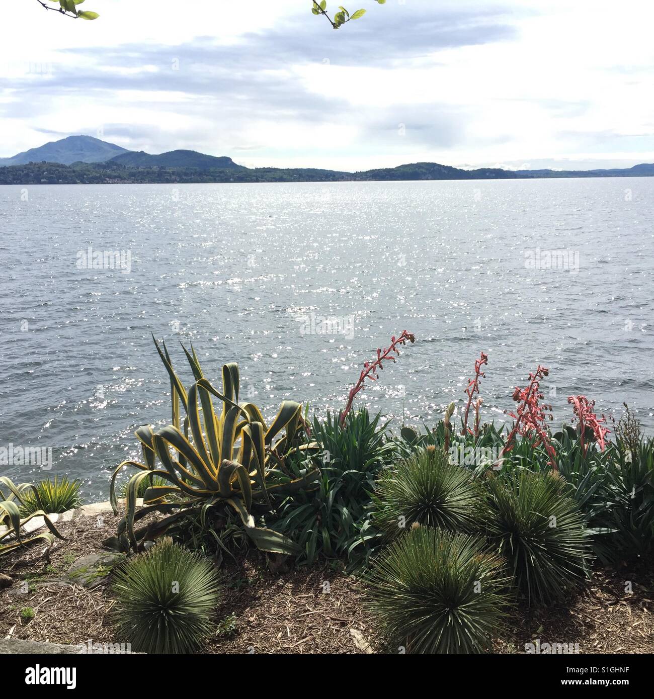 Isola madre island -Fotos und -Bildmaterial in hoher Auflösung – Alamy