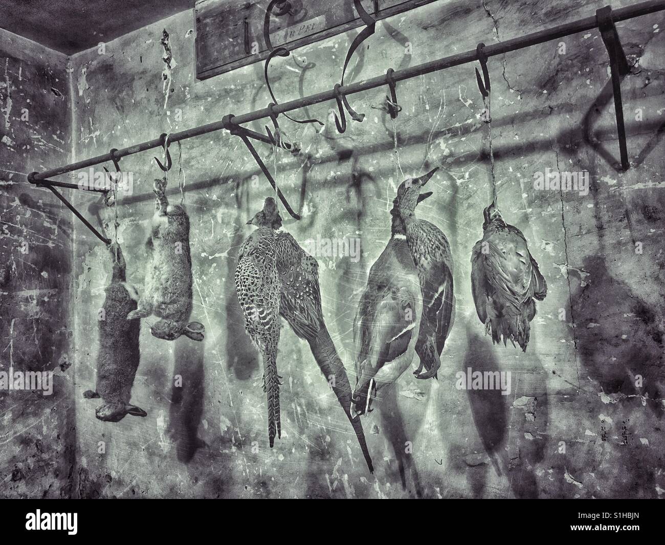 Historische jagd Smartphone-Stockfotos und -Bilder - Alamy