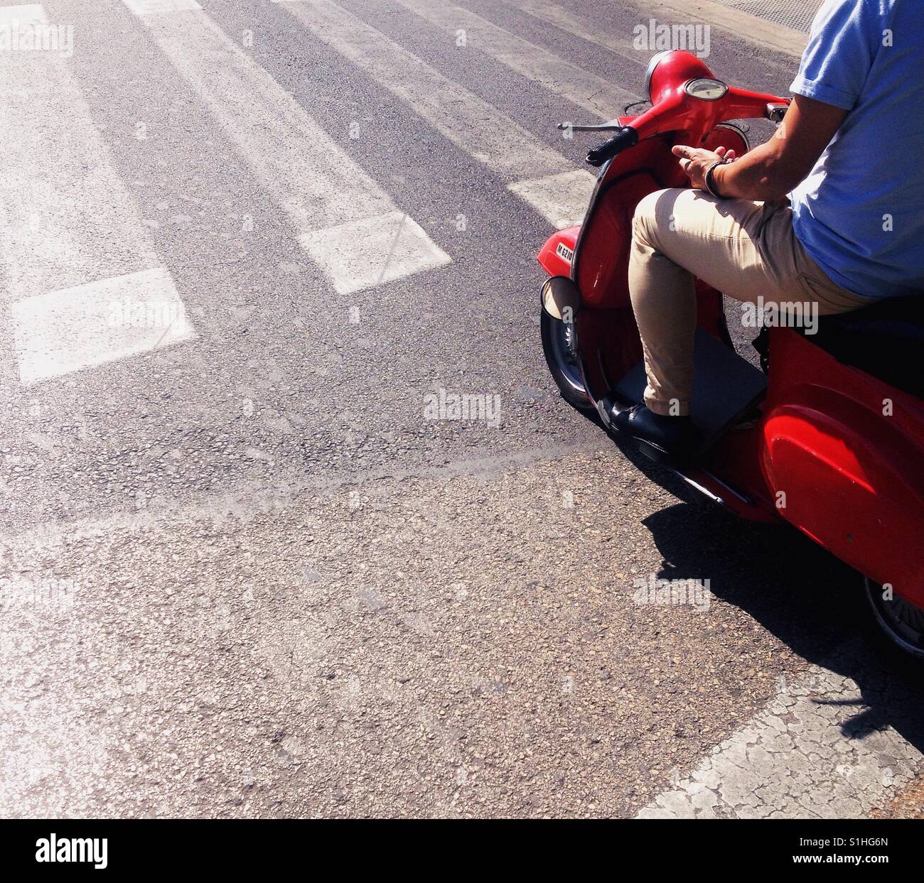 Rotes Zebra Stockfotos und -bilder Kaufen - Alamy