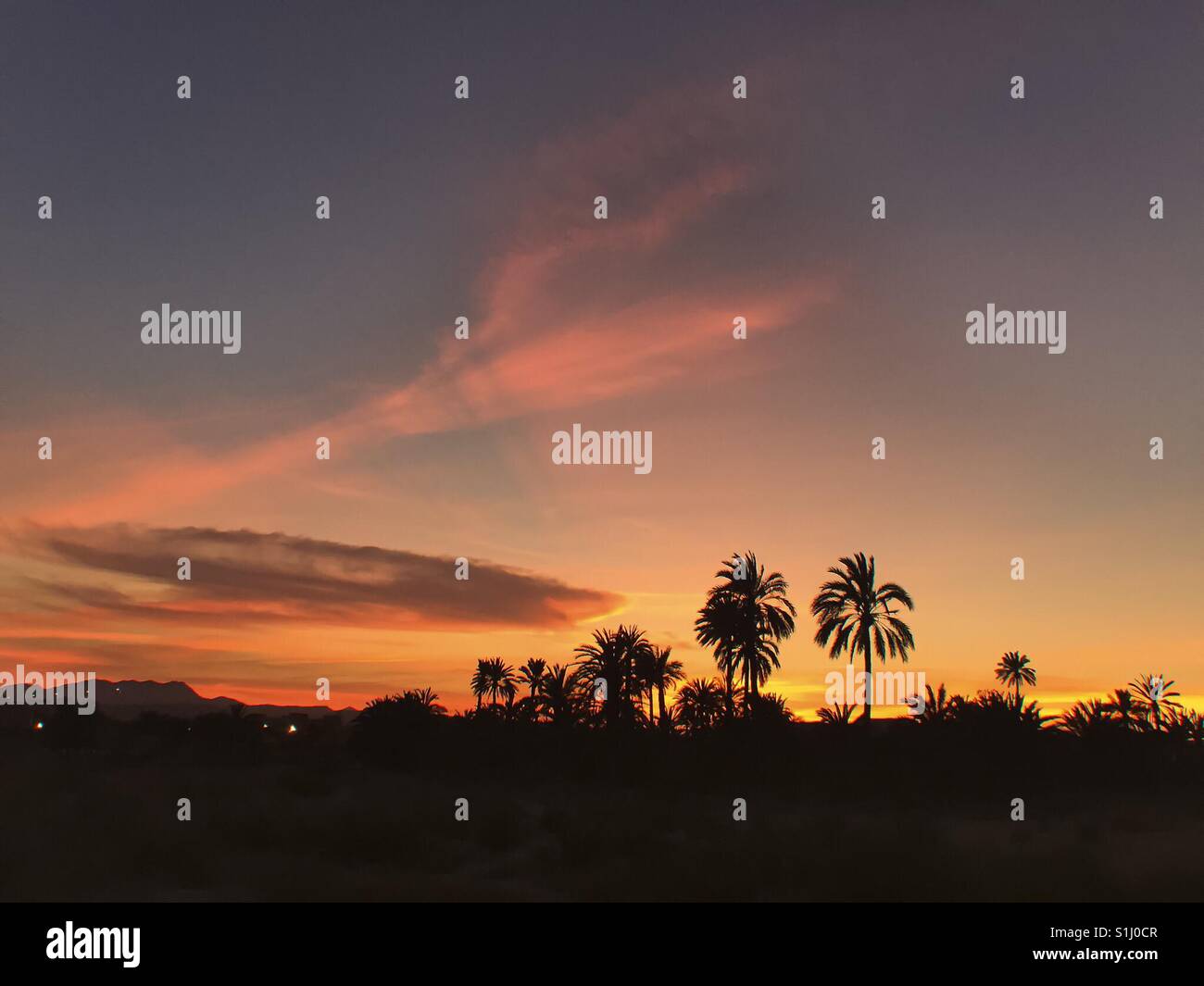 Spanien elche -Fotos und -Bildmaterial in hoher Auflösung – Alamy