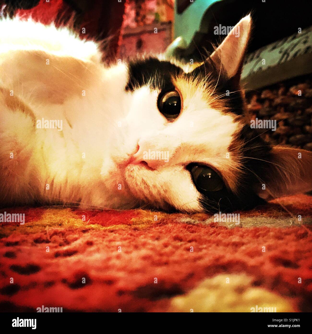 Entspann dich entspannt -Fotos und -Bildmaterial in hoher Auflösung – Alamy