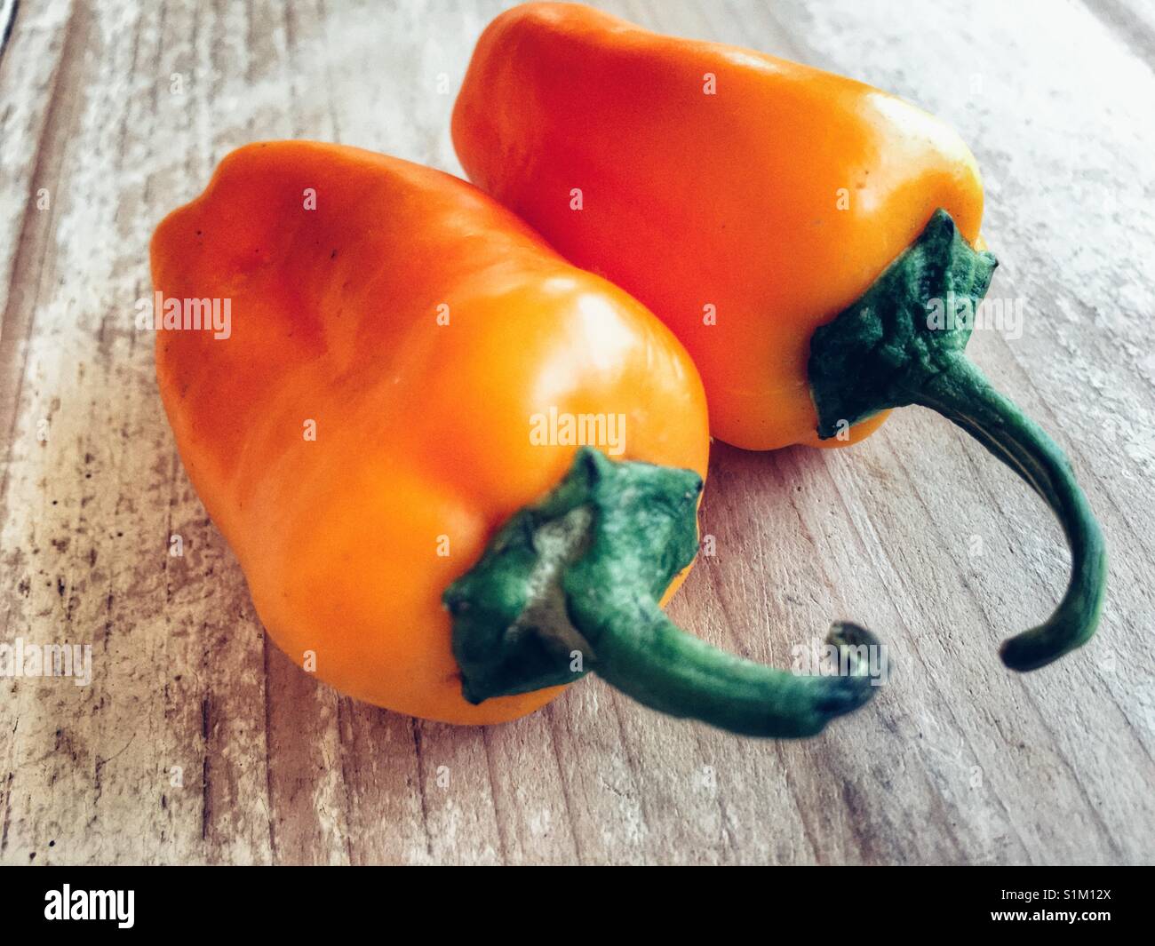 Small orange peppers -Fotos und -Bildmaterial in hoher Auflösung – Alamy