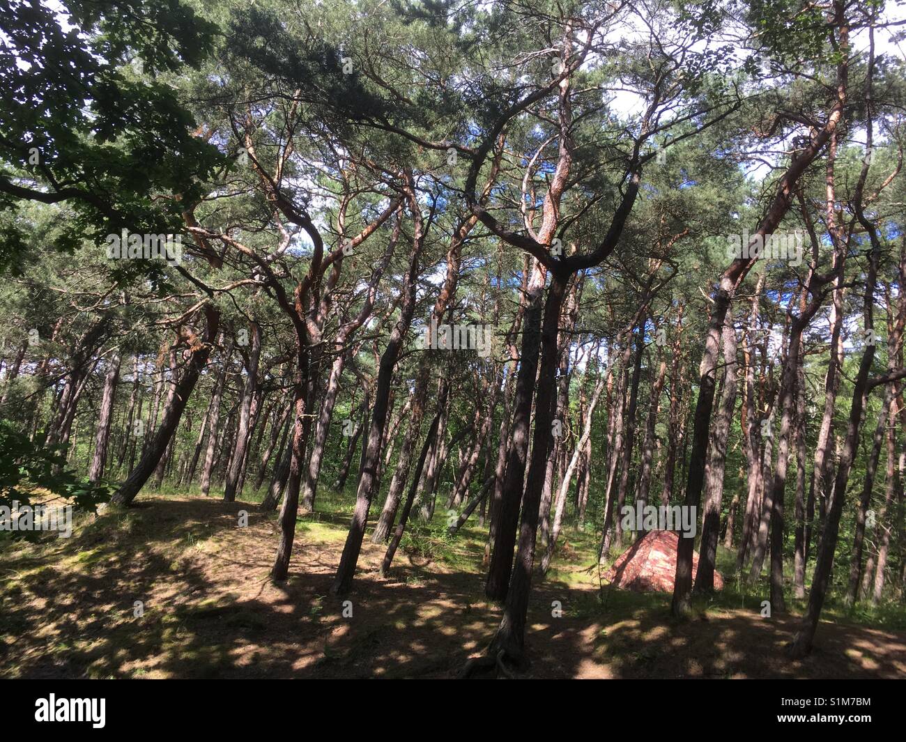 Hel peninsula poland -Fotos und -Bildmaterial in hoher Auflösung – Alamy