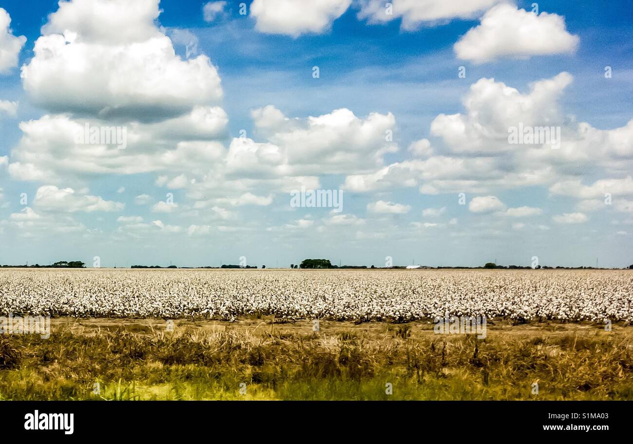 Texas golfküste -Fotos und -Bildmaterial in hoher Auflösung – Alamy
