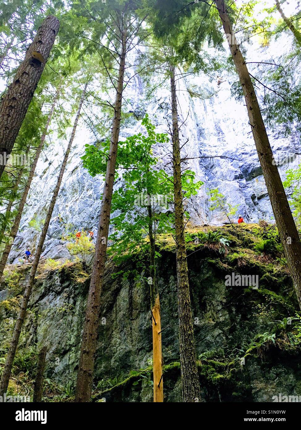 Kleine Si Spur Stockfotos und -bilder Kaufen - Alamy