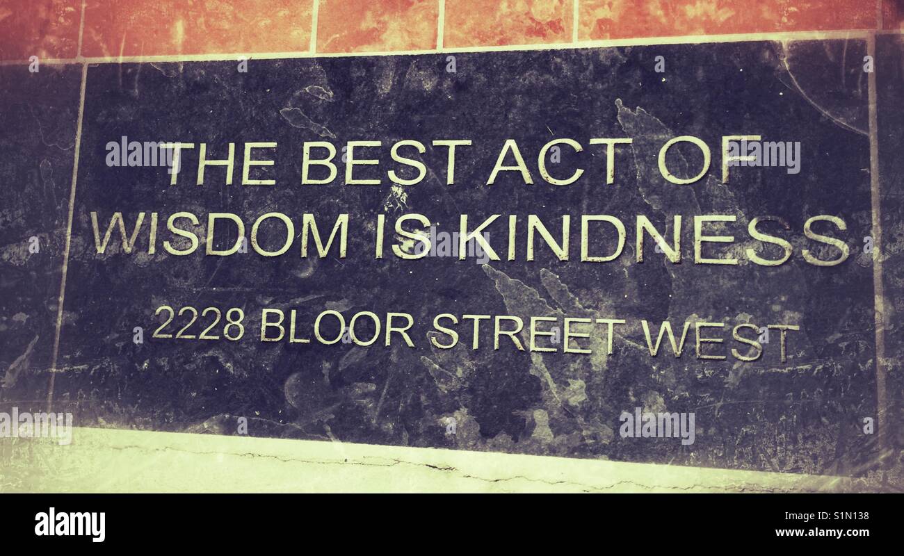 Weisheit zitat -Fotos und -Bildmaterial in hoher Auflösung – Alamy