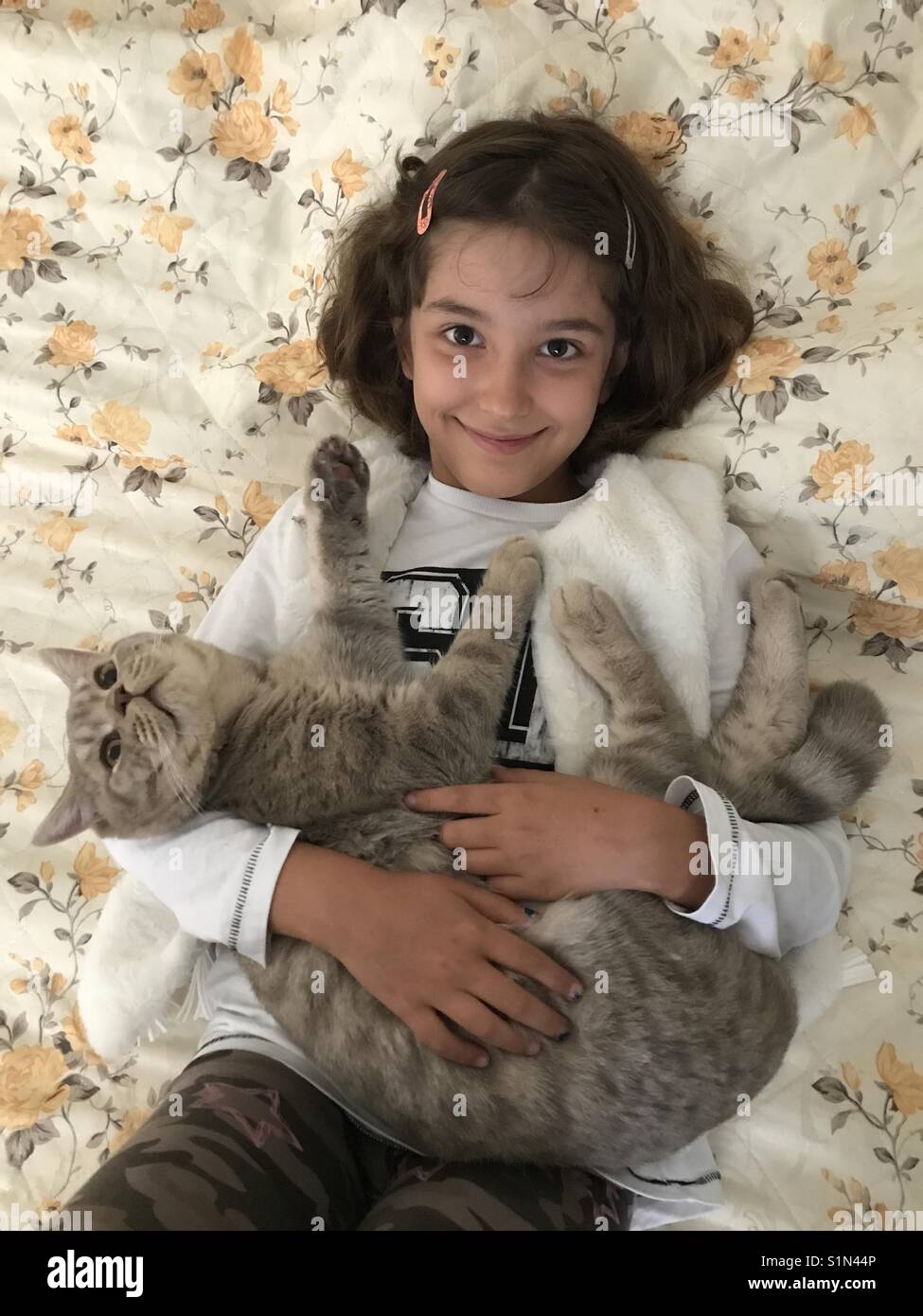 Beste freundin katze -Fotos und -Bildmaterial in hoher Auflösung – Alamy