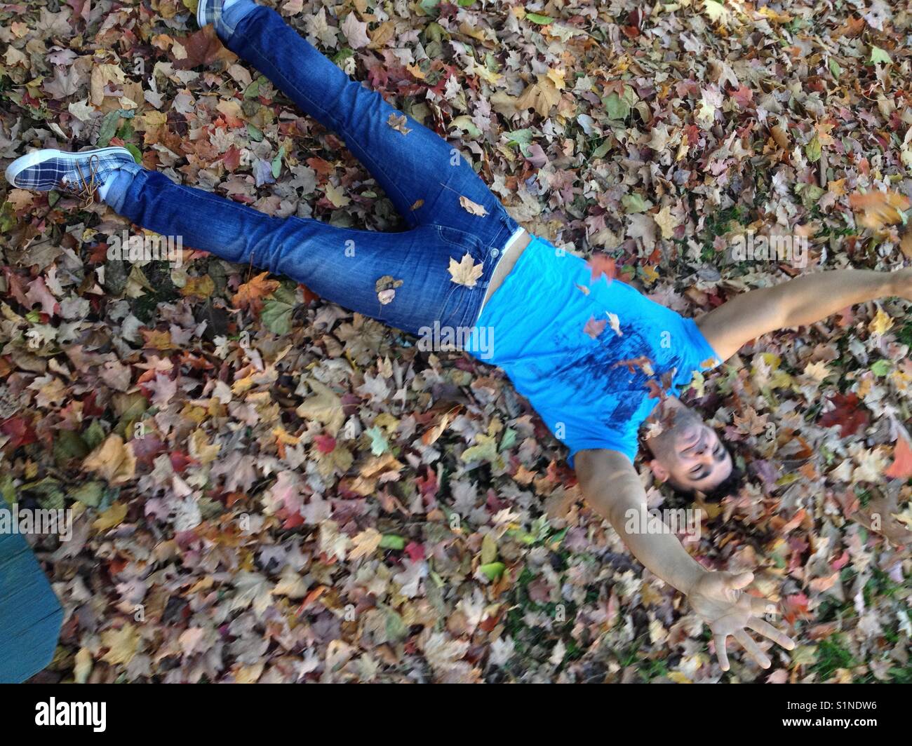 Fallende blätter -Fotos und -Bildmaterial in hoher Auflösung – Alamy