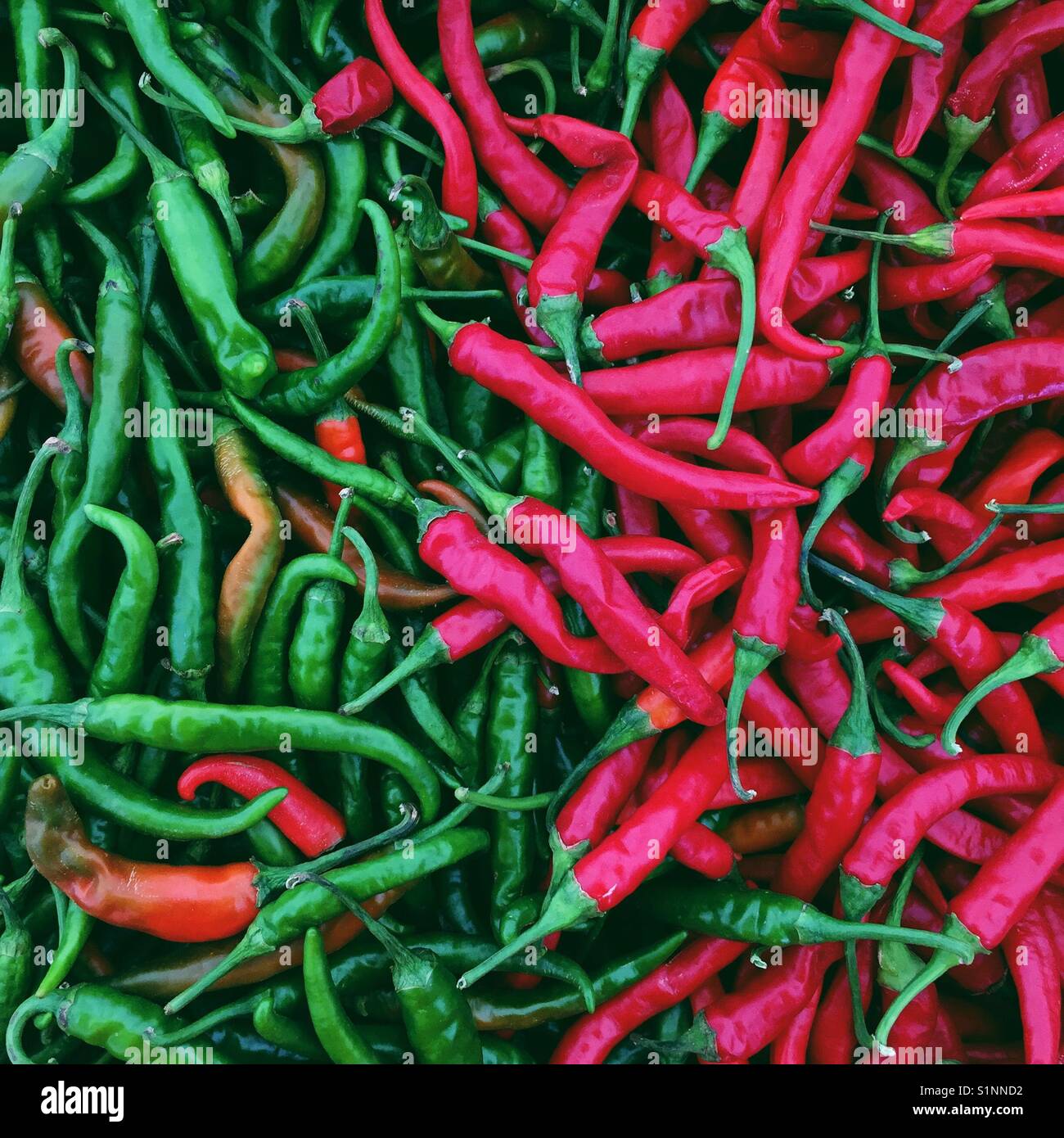 Grüne chillis -Fotos und -Bildmaterial in hoher Auflösung – Alamy