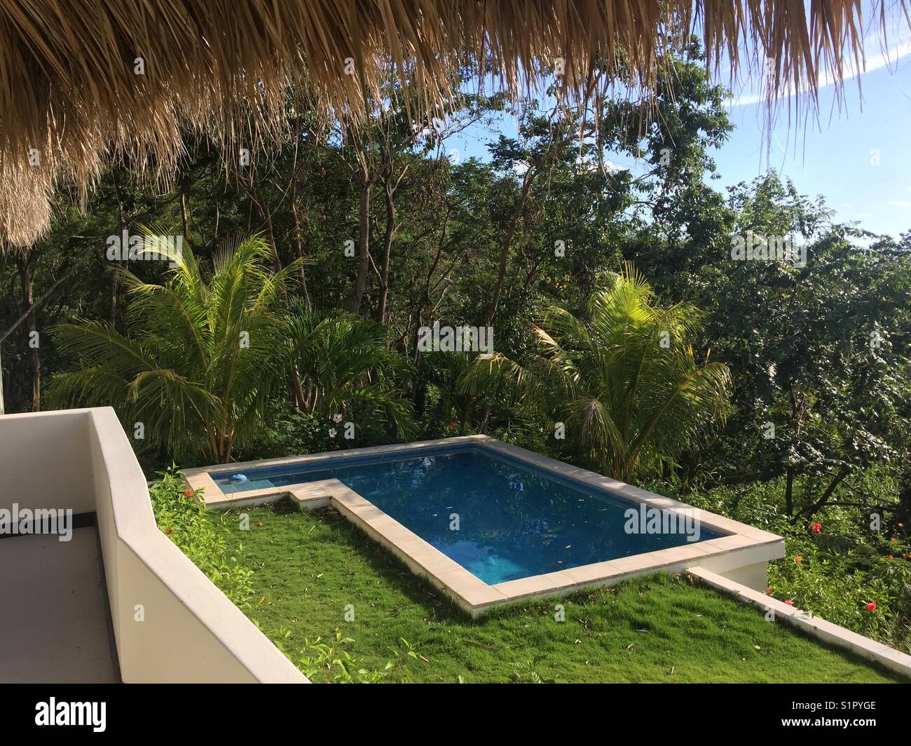 Jungle pool -Fotos und -Bildmaterial in hoher Auflösung – Alamy