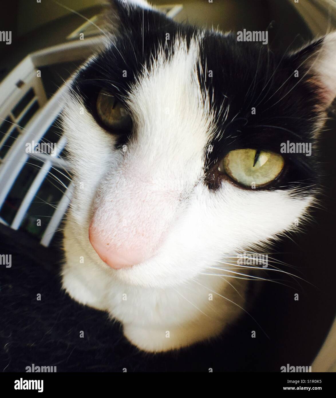 Smoking nahaufnahme -Fotos und -Bildmaterial in hoher Auflösung – Alamy