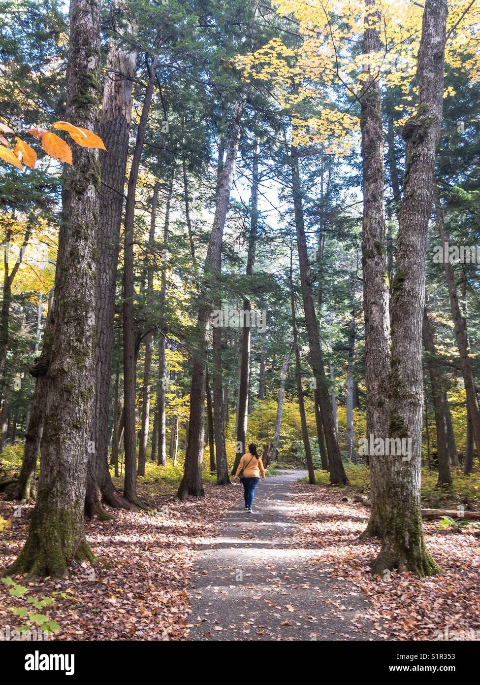 Wundervolle zeit -Fotos und -Bildmaterial in hoher Auflösung – Alamy