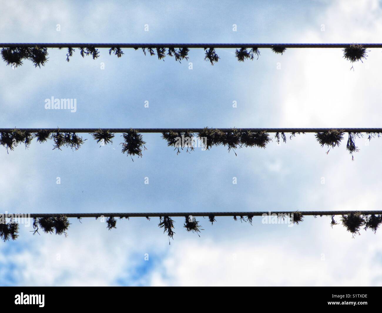 Die natur erobern -Fotos und -Bildmaterial in hoher Auflösung – Alamy
