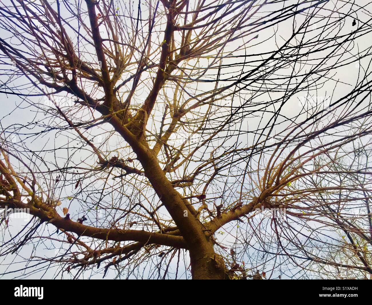 Islamabad ansicht -Fotos und -Bildmaterial in hoher Auflösung – Alamy