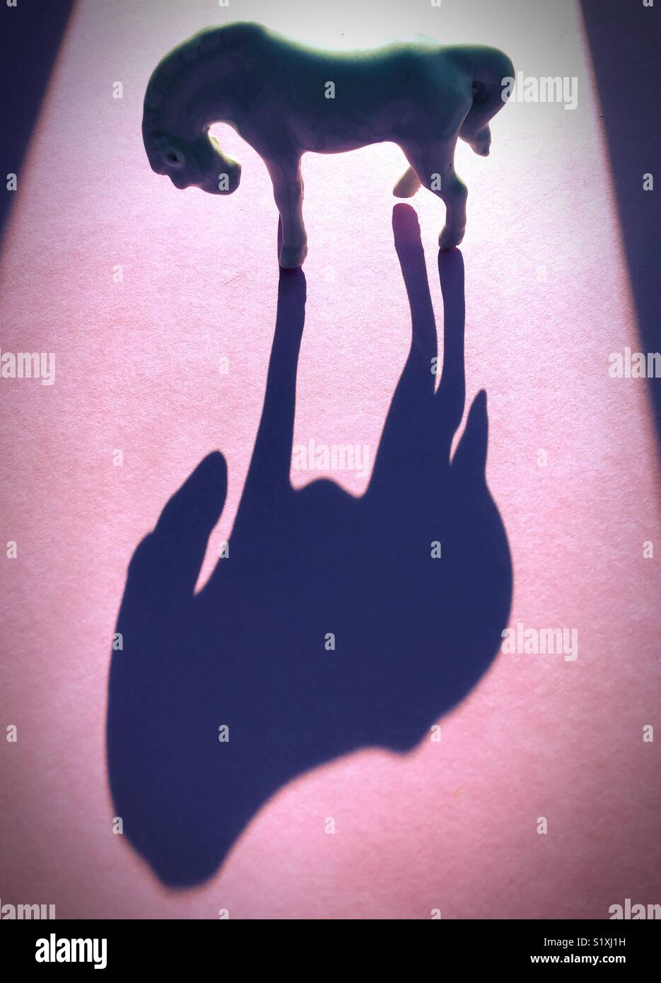 Pferde schatten -Fotos und -Bildmaterial in hoher Auflösung – Alamy