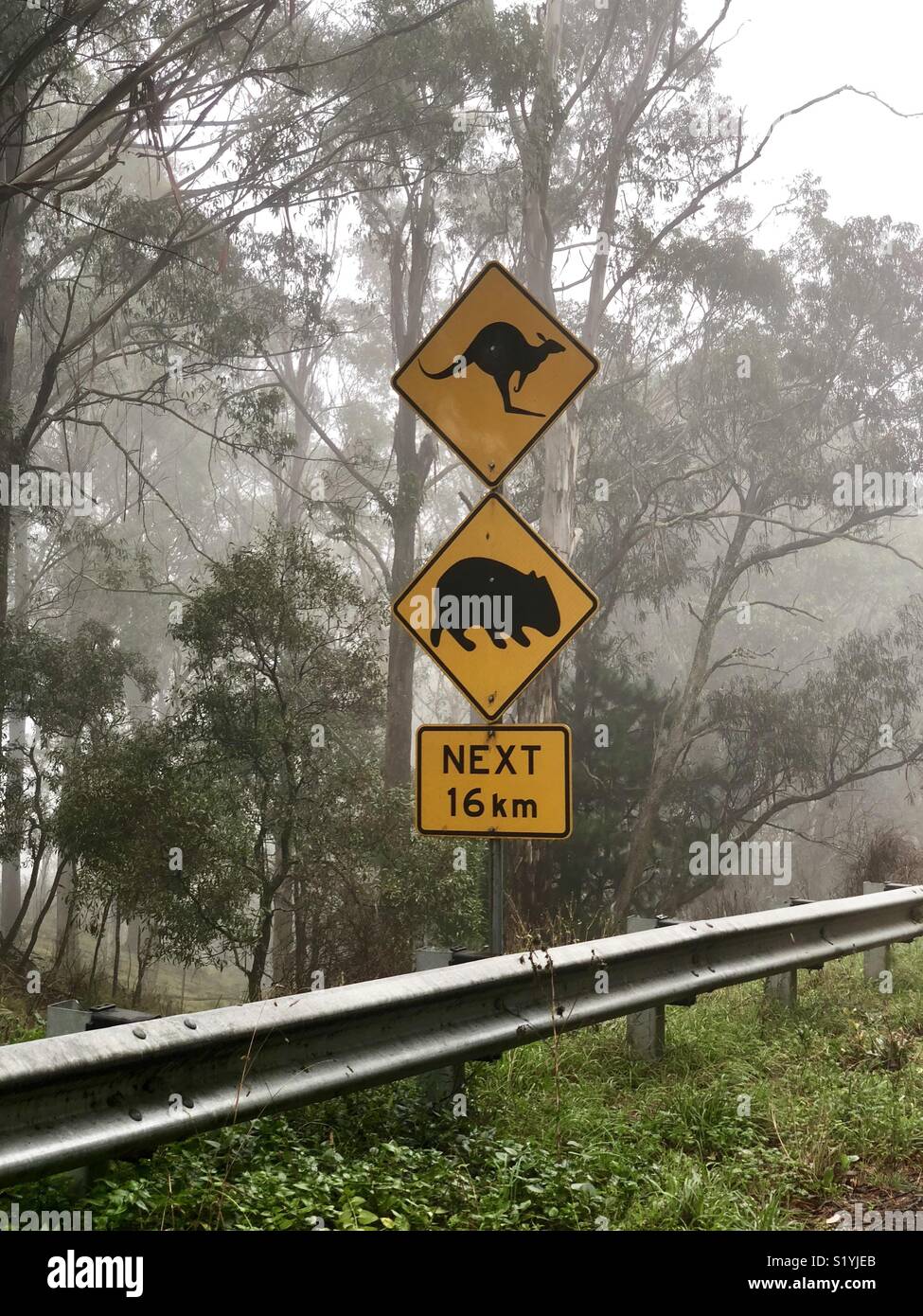 Kangaroo wombat road sign -Fotos und -Bildmaterial in hoher Auflösung ...