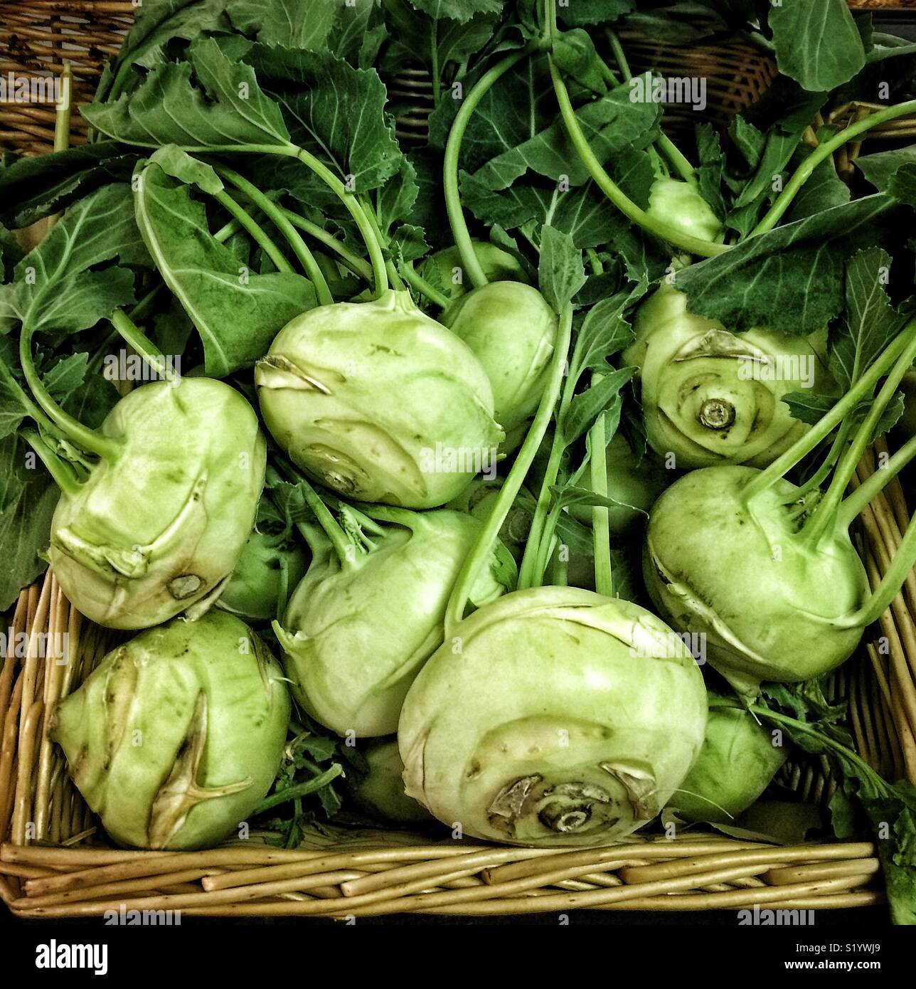 Kohlrabi bauernmarkt -Fotos und -Bildmaterial in hoher Auflösung – Alamy