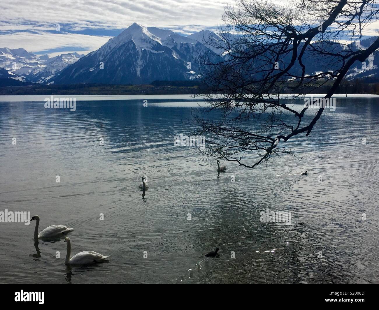 Lake of thun -Fotos und -Bildmaterial in hoher Auflösung – Alamy