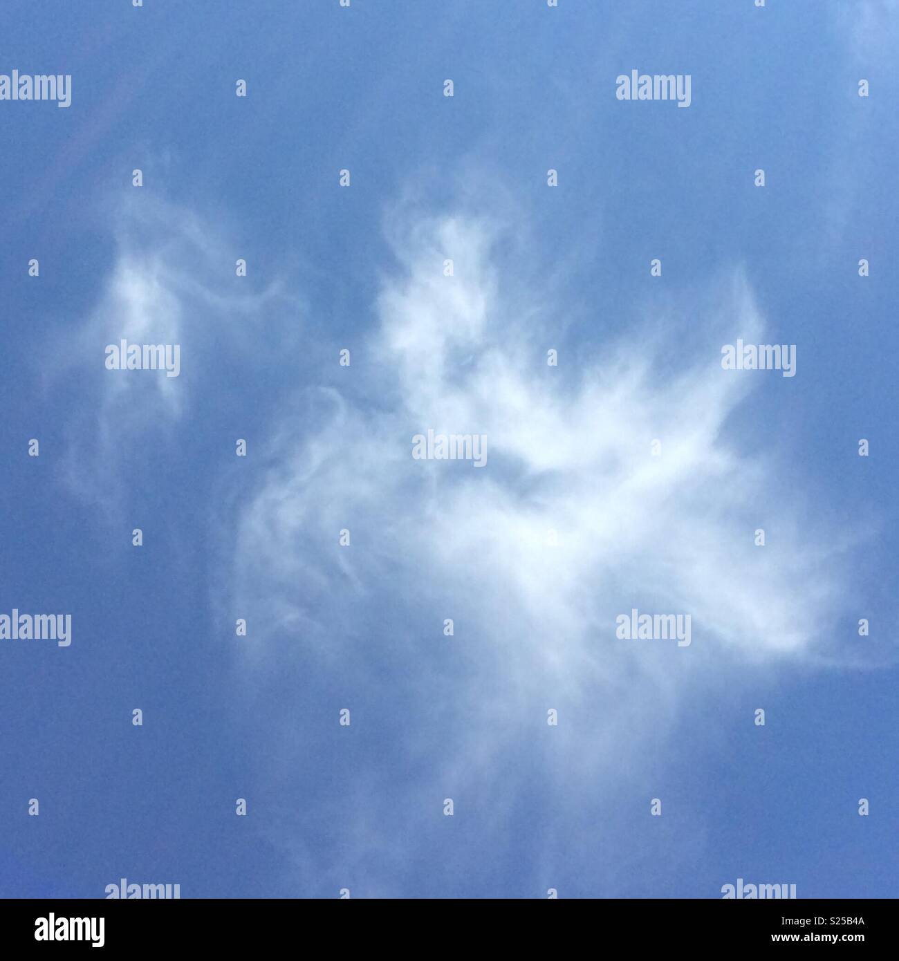 Cirro form -Fotos und -Bildmaterial in hoher Auflösung – Alamy