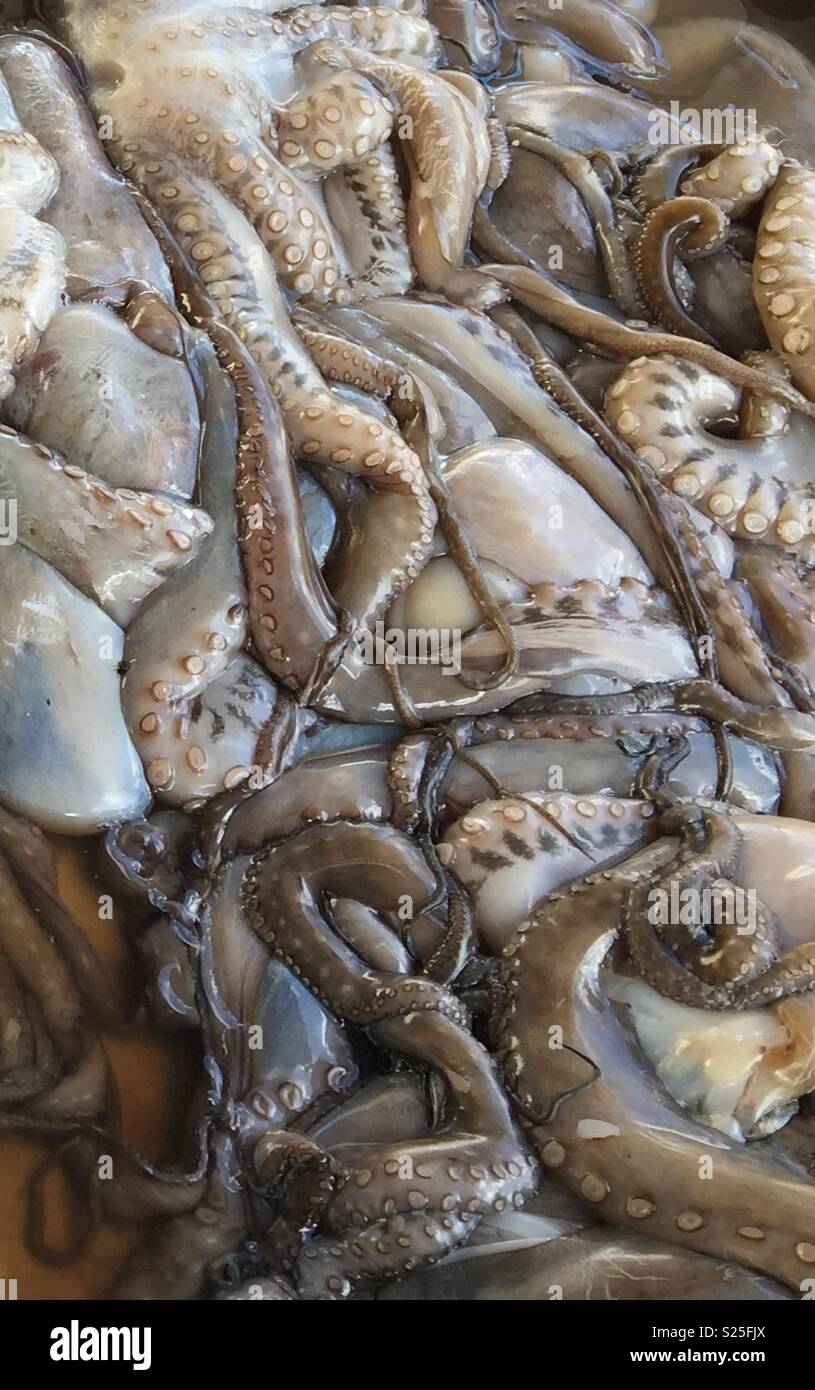 Octopus am Fischmarkt in Malta Stockfotografie - Alamy