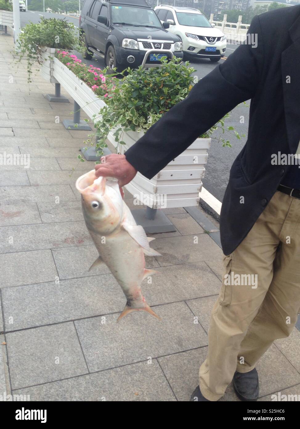 Hongyi -Fotos und -Bildmaterial in hoher Auflösung – Alamy