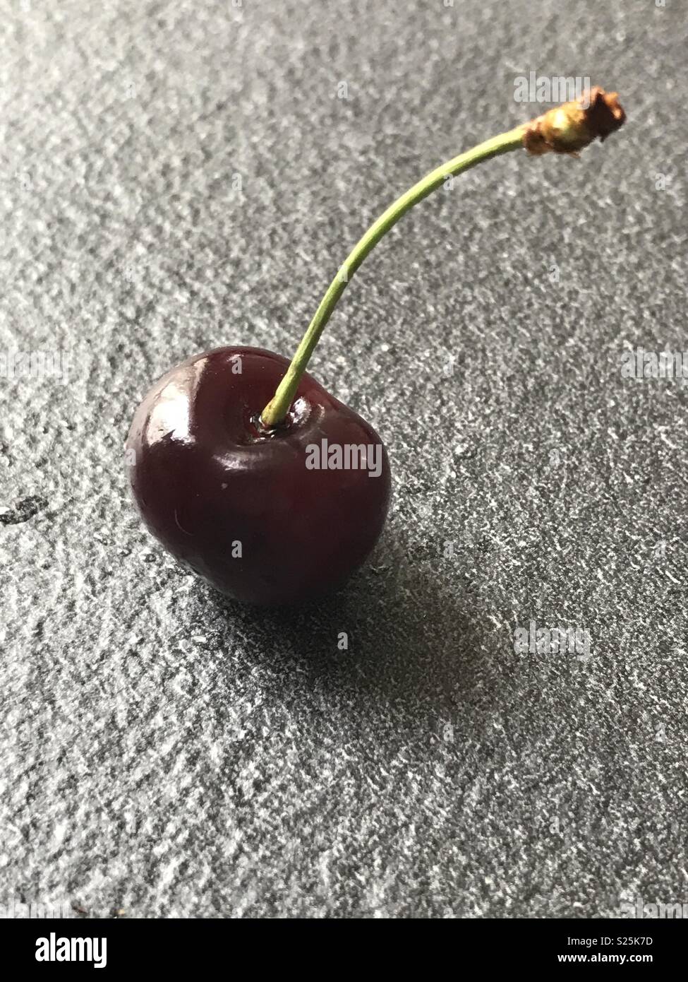 Isolation metaphor -Fotos und -Bildmaterial in hoher Auflösung – Alamy