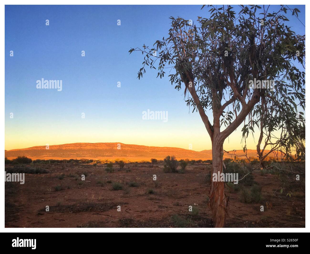 Hawker south australia -Fotos und -Bildmaterial in hoher Auflösung – Alamy