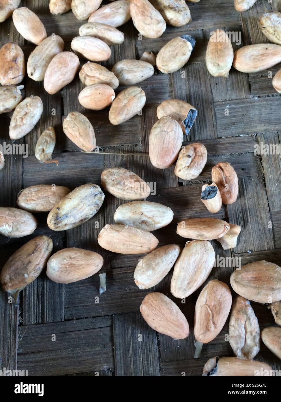 Röstung von kakaobohnen -Fotos und -Bildmaterial in hoher Auflösung – Alamy