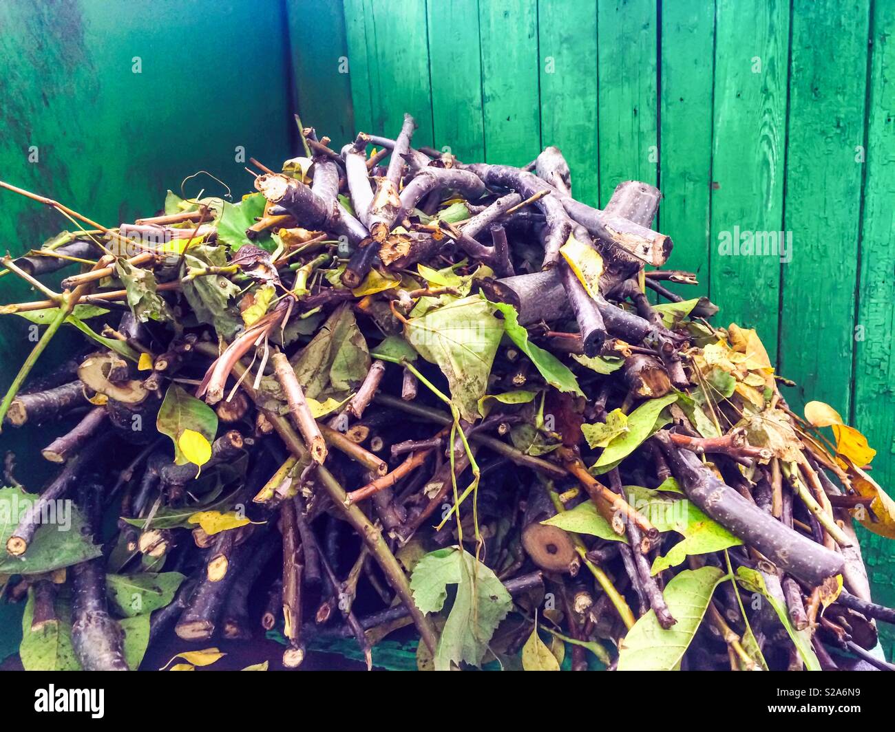 Zweige haufen -Fotos und -Bildmaterial in hoher Auflösung – Alamy