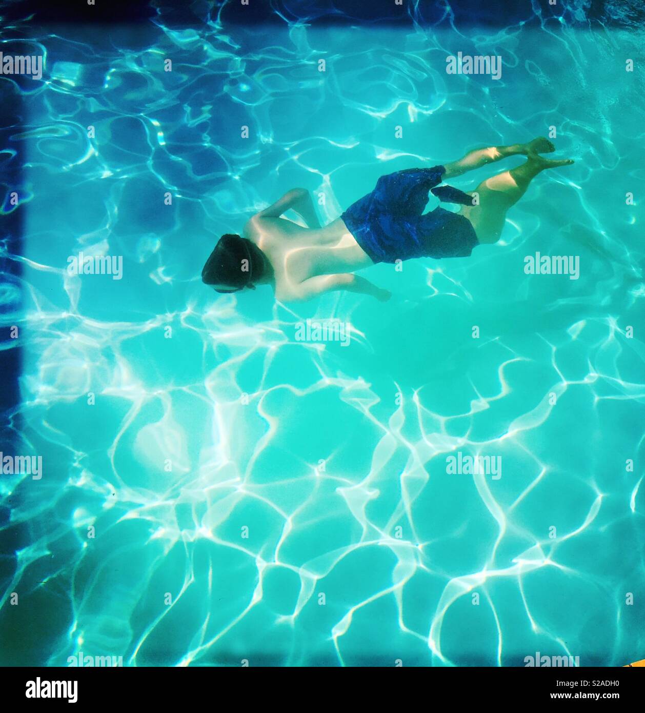 David hockney pool -Fotos und -Bildmaterial in hoher Auflösung – Alamy