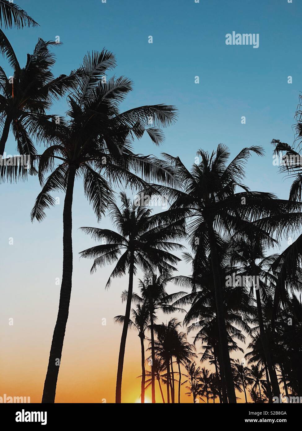 Perfektes bild -Fotos und -Bildmaterial in hoher Auflösung – Alamy