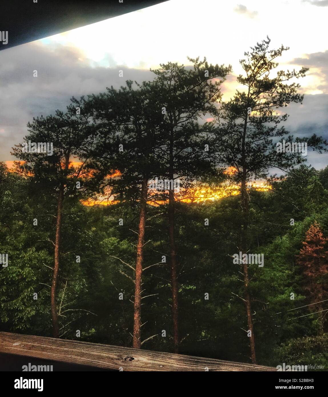 Pine view -Fotos und -Bildmaterial in hoher Auflösung – Alamy