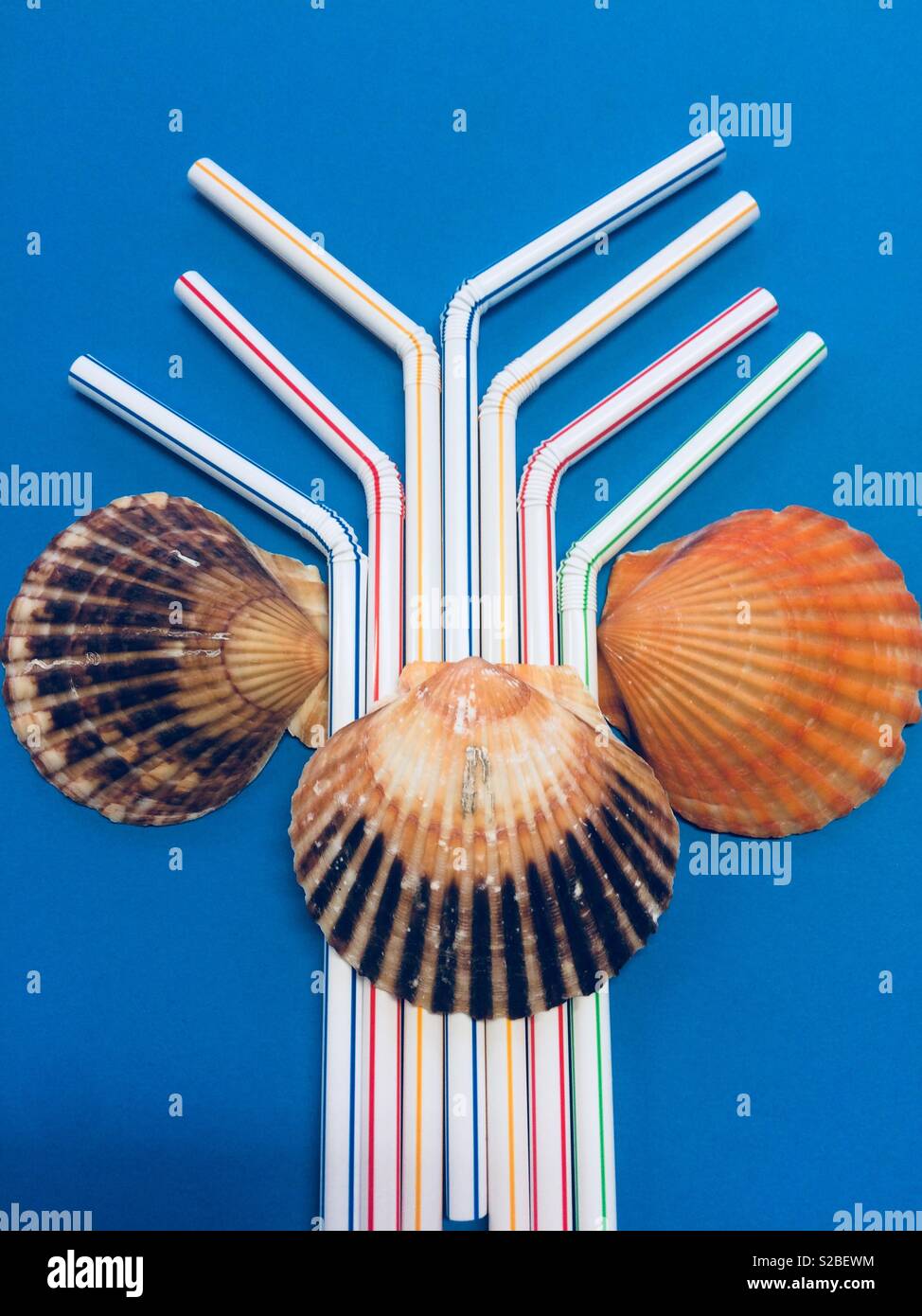 Plastik und muscheln -Fotos und -Bildmaterial in hoher Auflösung – Alamy
