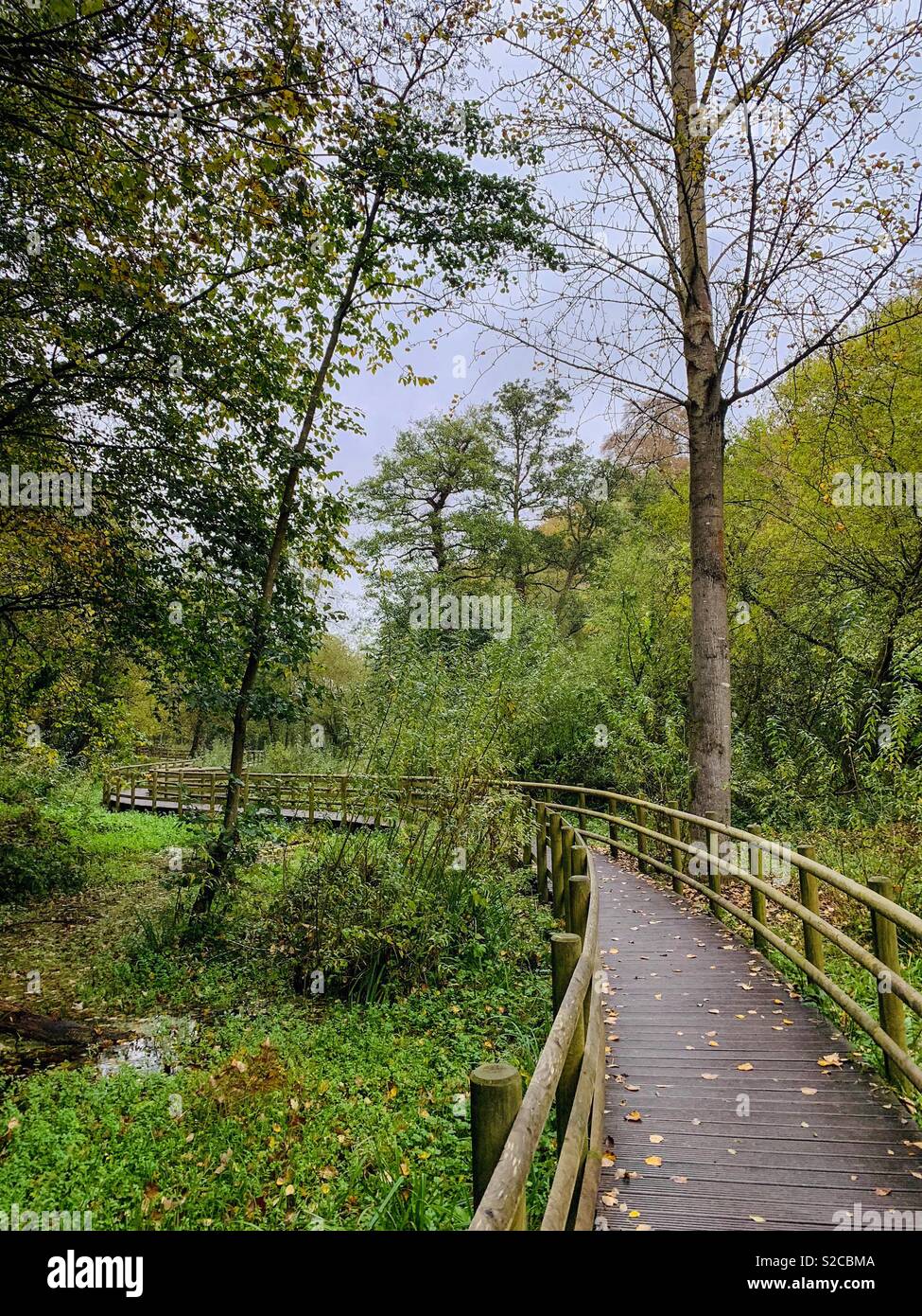 Wepre Park, Flintshire Stockfotografie - Alamy