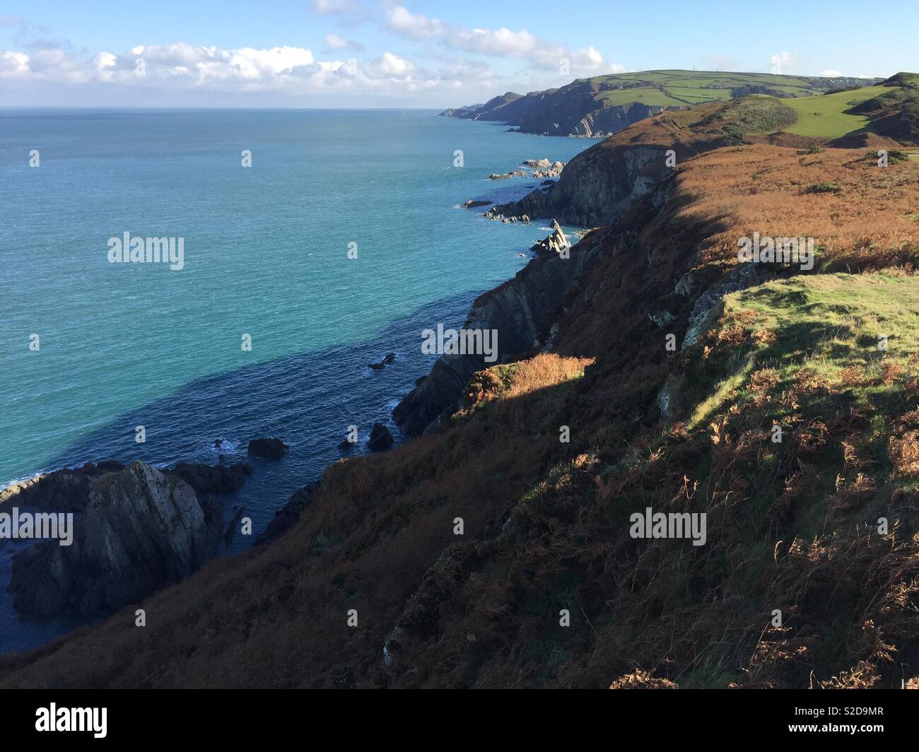 North devons -Fotos und -Bildmaterial in hoher Auflösung – Alamy