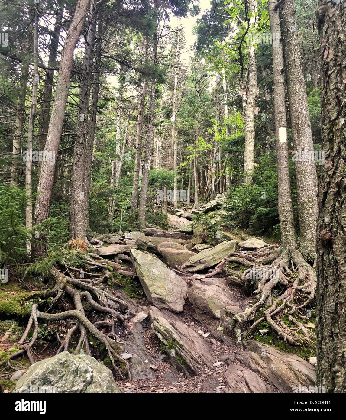 Mount abraham -Fotos und -Bildmaterial in hoher Auflösung – Alamy