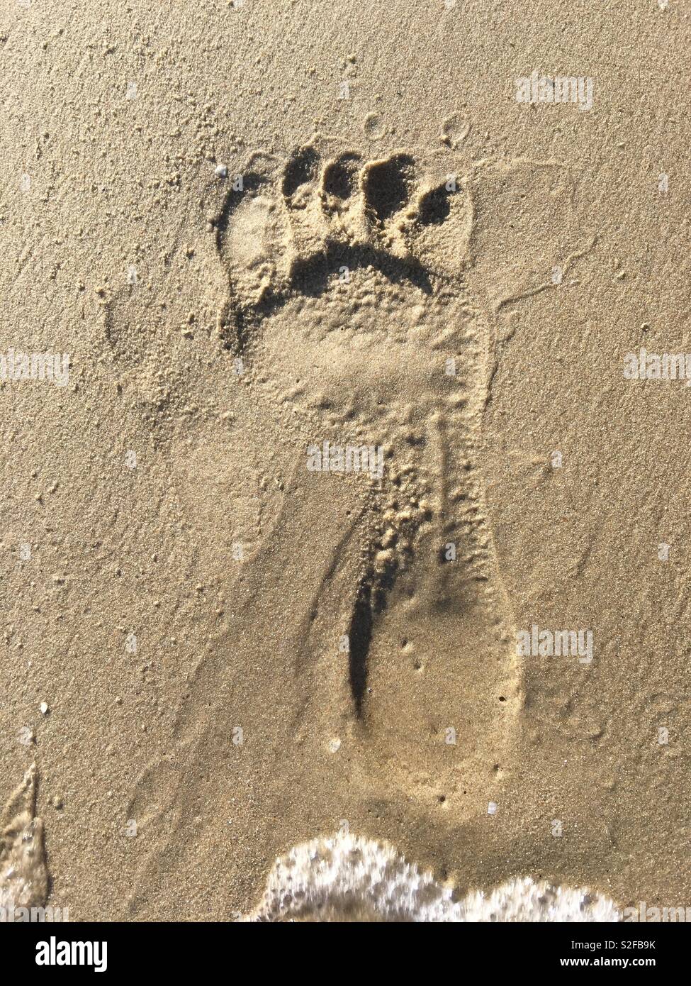 Schritte sand -Fotos und -Bildmaterial in hoher Auflösung – Alamy