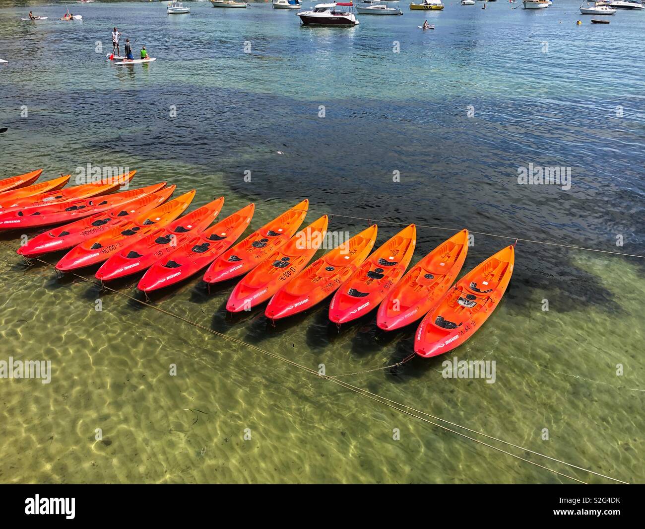 Linie der Segel Boards in einer Bucht Stockfotografie - Alamy
