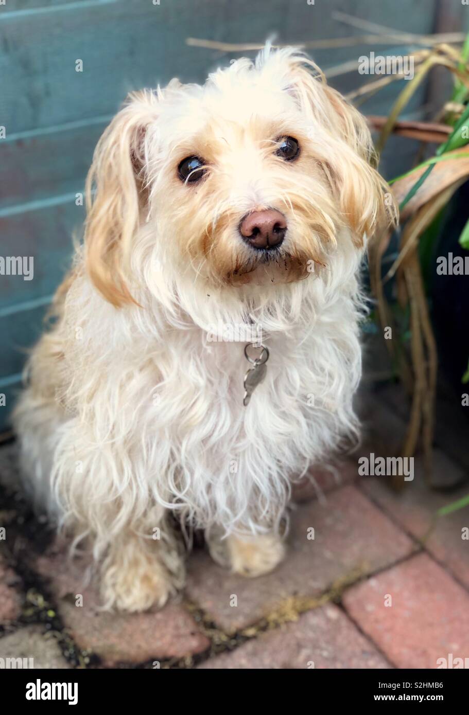 Meggie -Fotos und -Bildmaterial in hoher Auflösung – Alamy