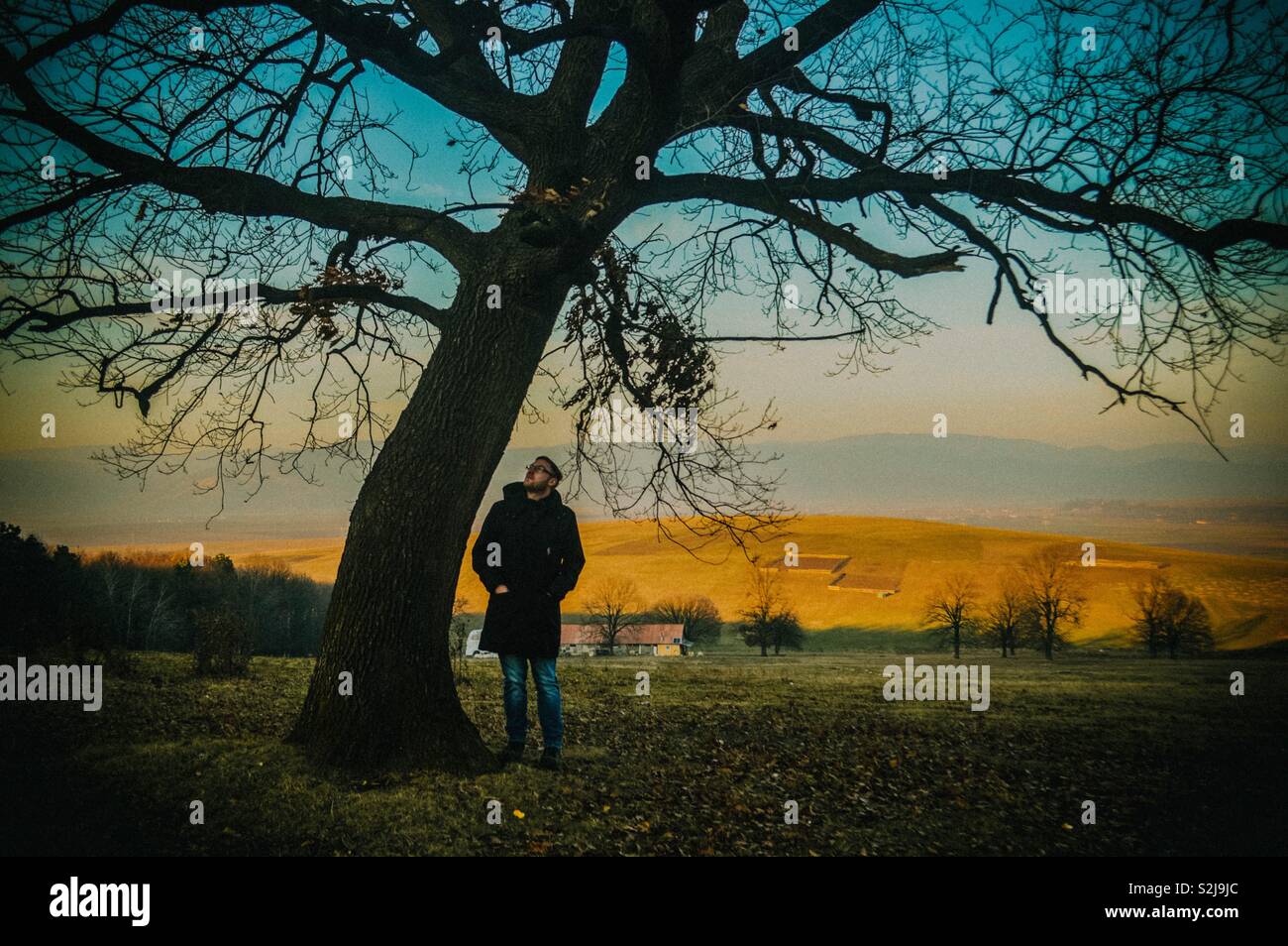 Talking tree -Fotos und -Bildmaterial in hoher Auflösung – Alamy