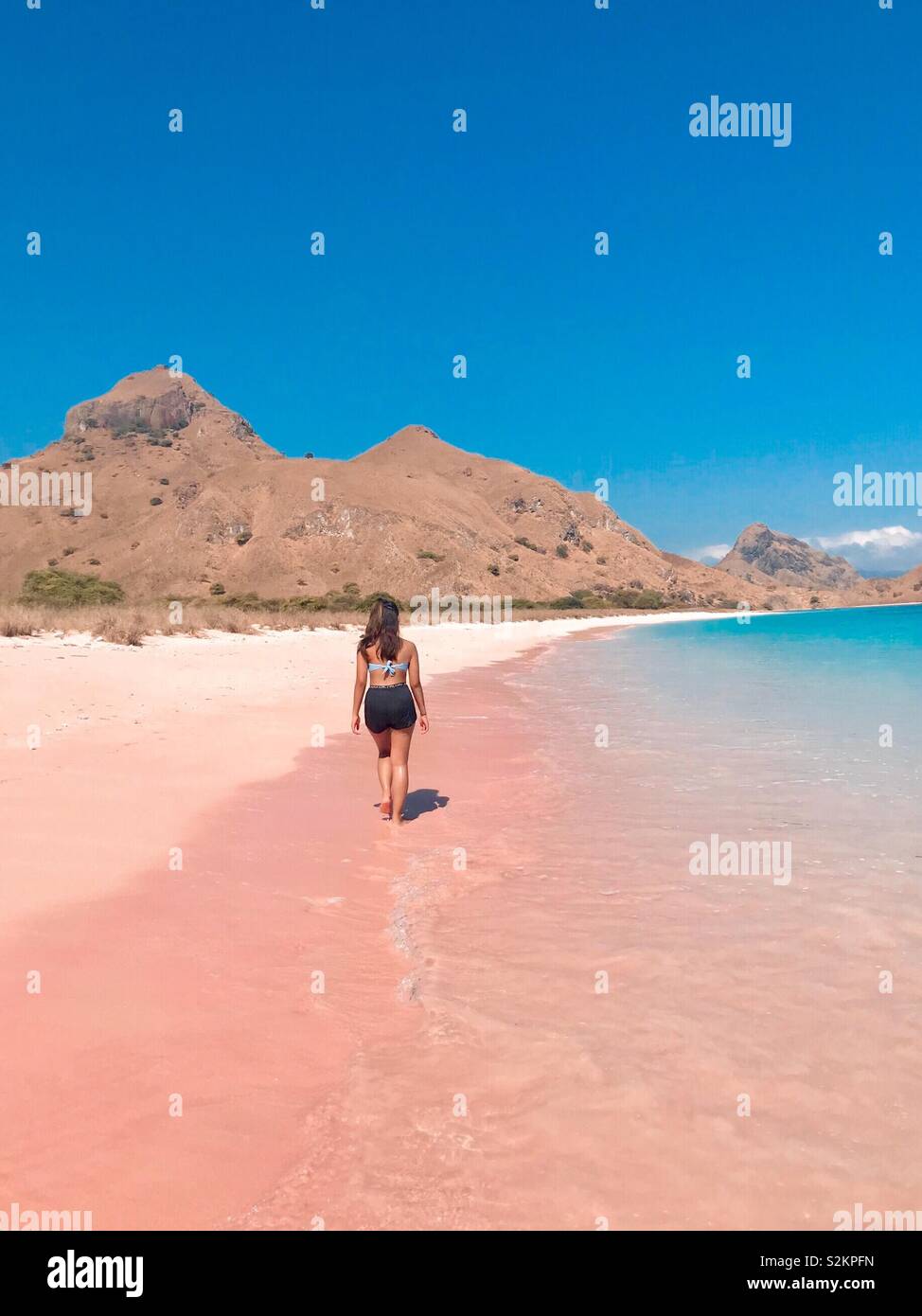 Rosa strand auf komodo insel -Fotos und -Bildmaterial in hoher ...