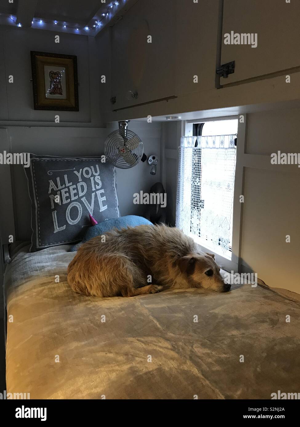 Warten auf die besitzer -Fotos und -Bildmaterial in hoher Auflösung – Alamy