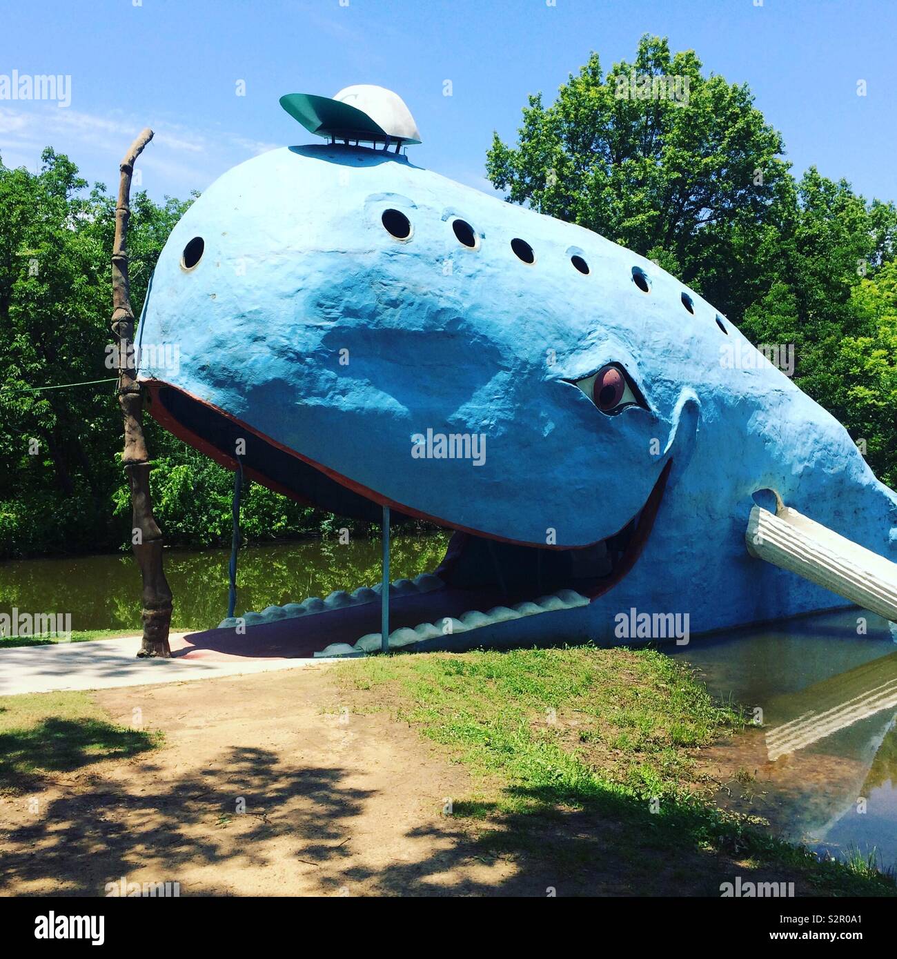 Blauwal catoosa -Fotos und -Bildmaterial in hoher Auflösung – Alamy