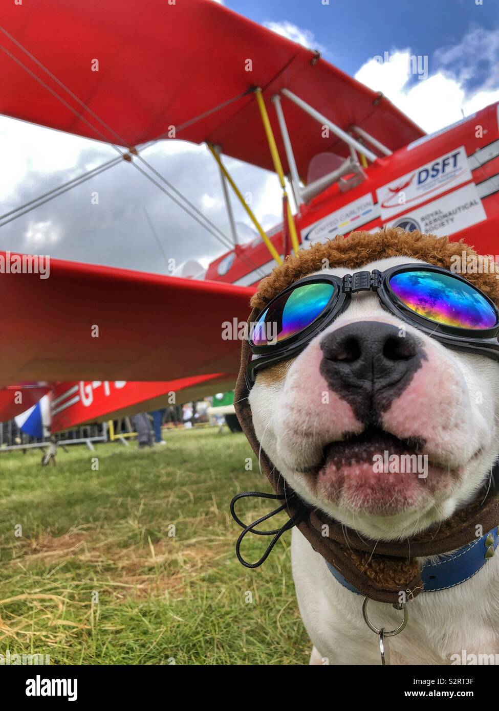 Red bull helmet -Fotos und -Bildmaterial in hoher Auflösung – Alamy