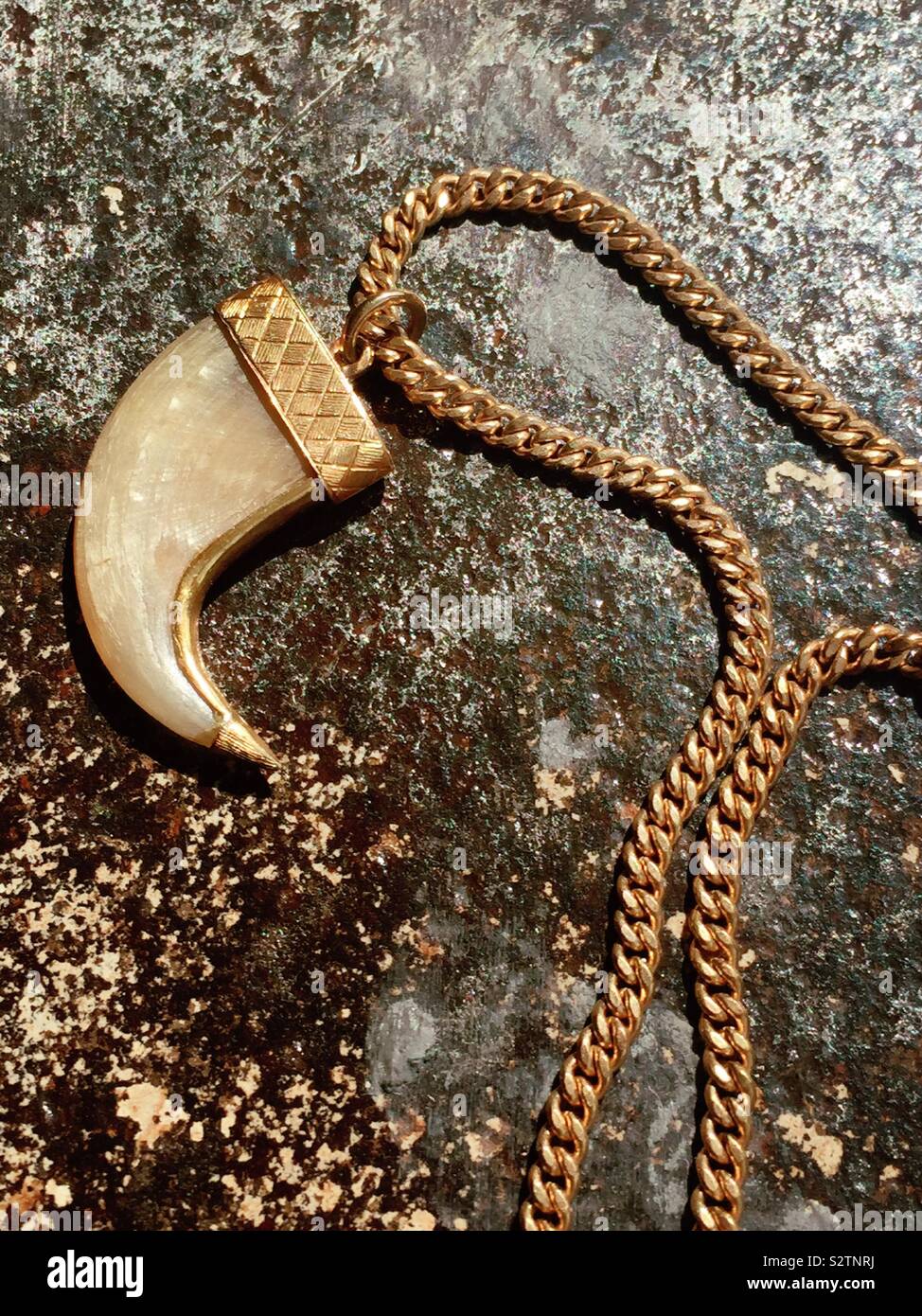 Waghnakh pendant store